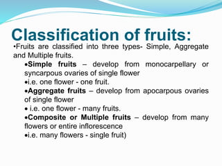 Fruits and Seeds for class 11 std | PPSX