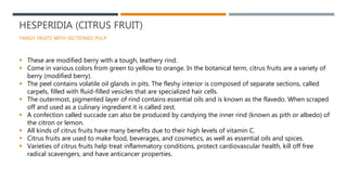 A broad Classification on types of Fruits | PPTX