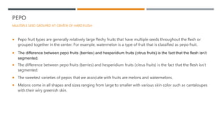 A broad Classification on types of Fruits | PPTX