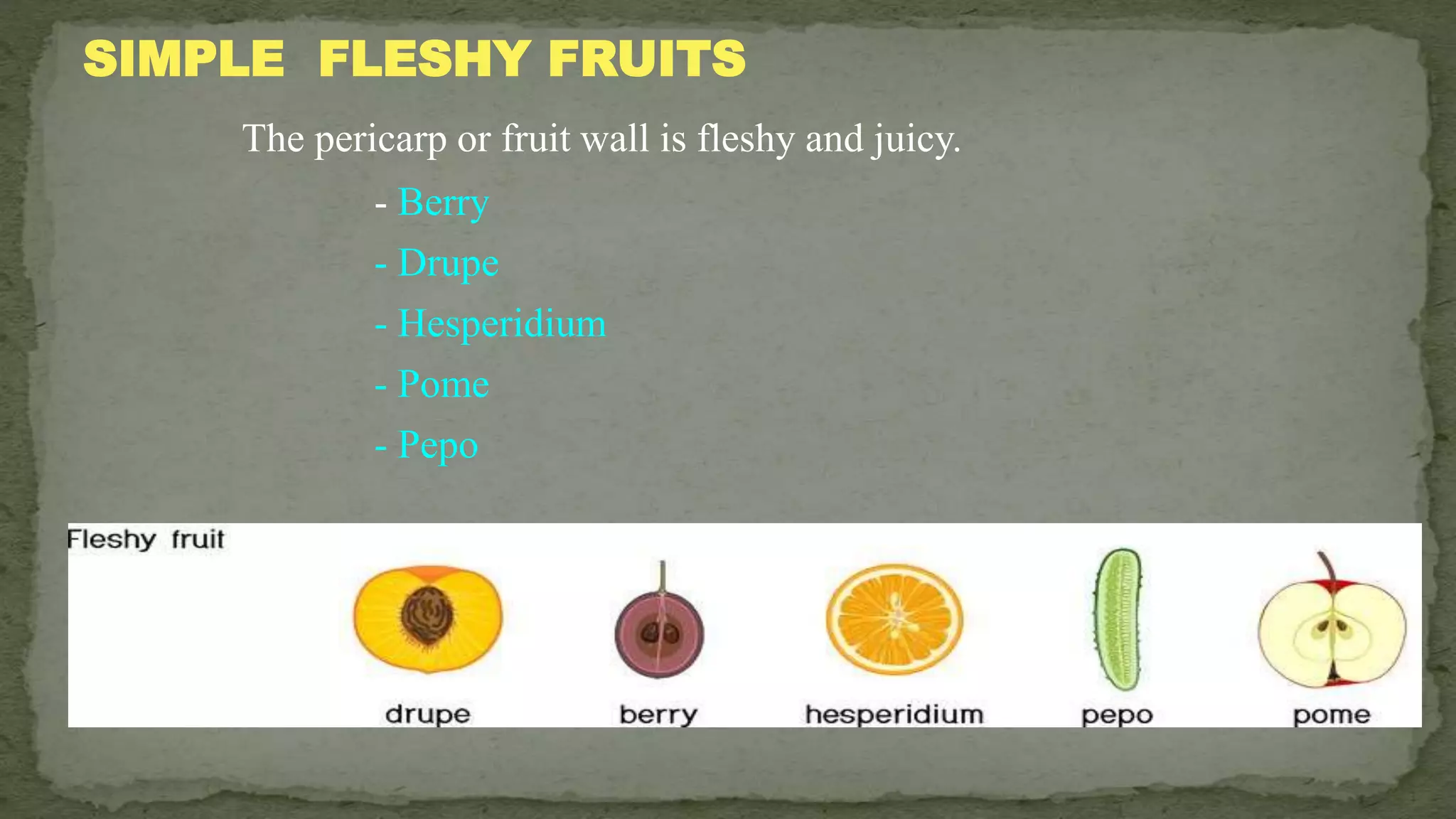 Fruits | PPTX