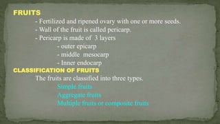 Fruits | PPTX
