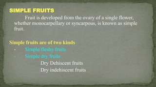 Fruits | PPTX