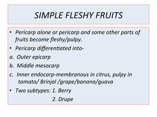 Fruits | PDF