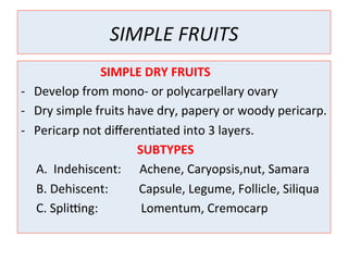 Fruits | PDF