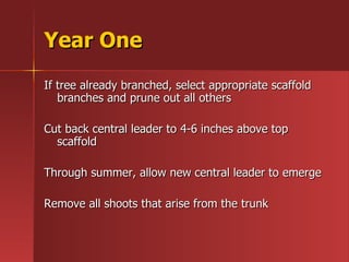 Fruits tree pruning | PPT