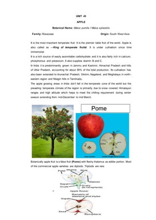 Fruits unit-iii | PDF