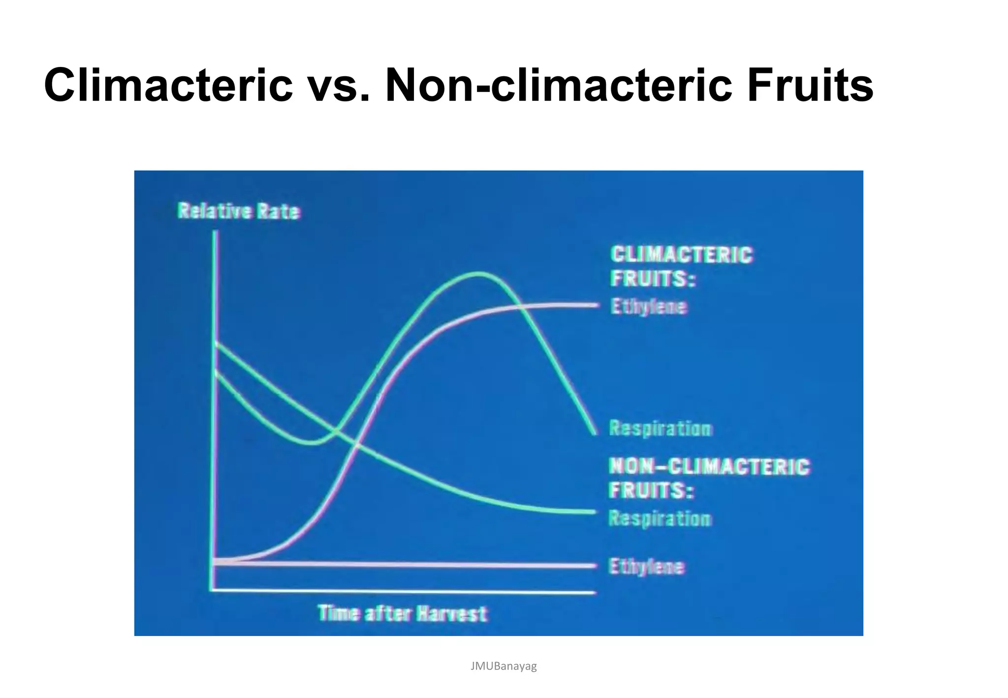 Fruits and Plantation Crops with Horticultural Classification | PDF