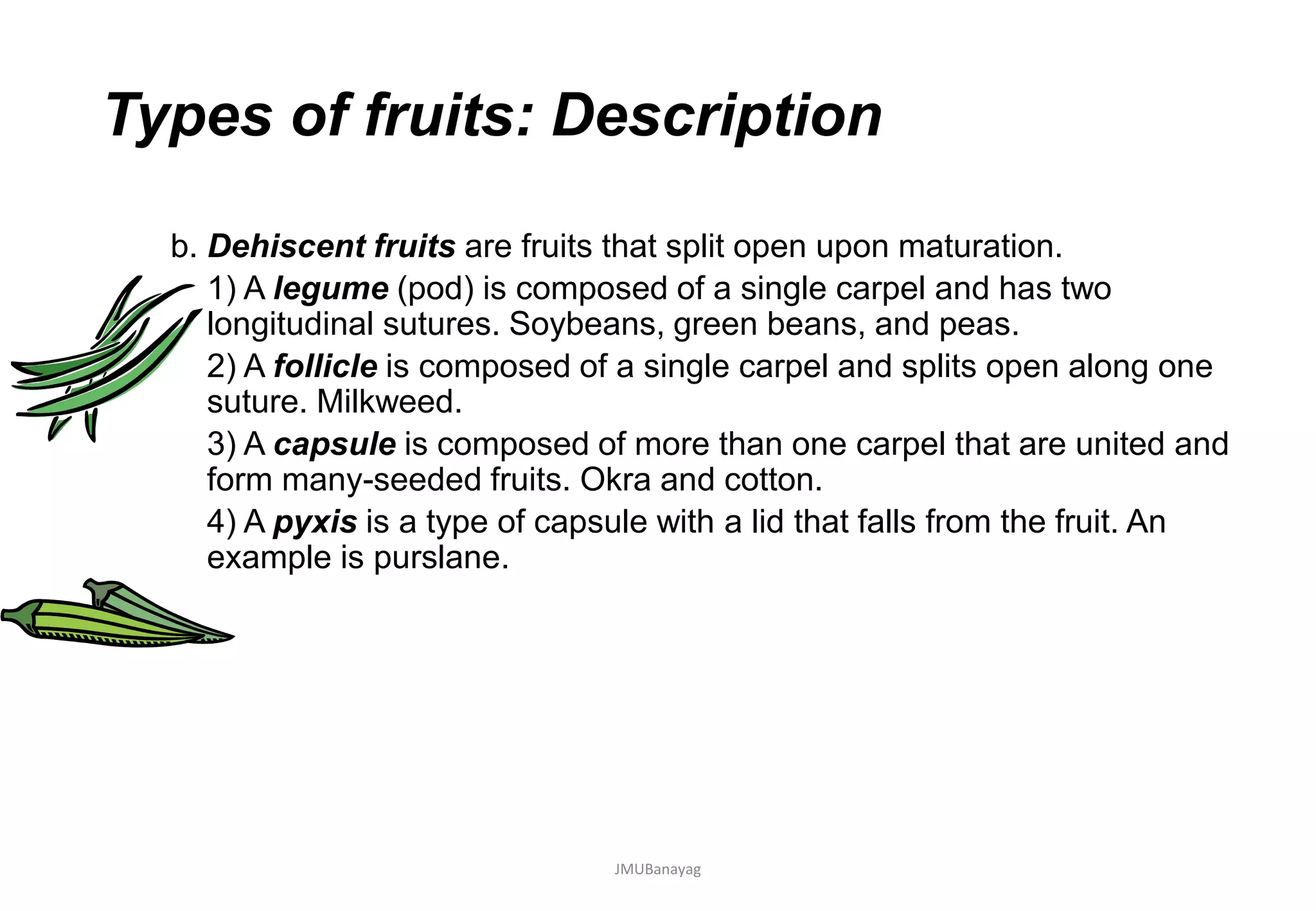 Fruits and Plantation Crops with Horticultural Classification | PDF