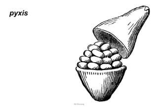 Fruits and Plantation Crops with Horticultural Classification | PDF