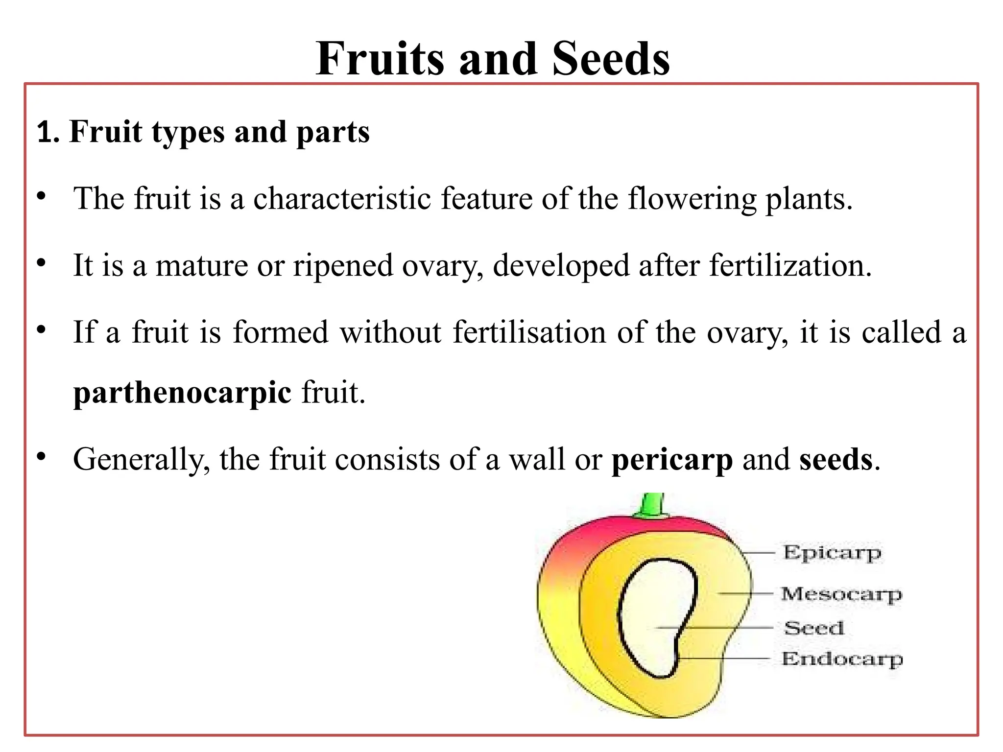 morphology of Fruits and Seed used as lecture note | PPTX