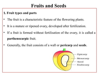morphology of Fruits and Seed used as lecture note | PPTX