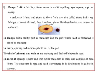 morphology of Fruits and Seed used as lecture note | PPTX