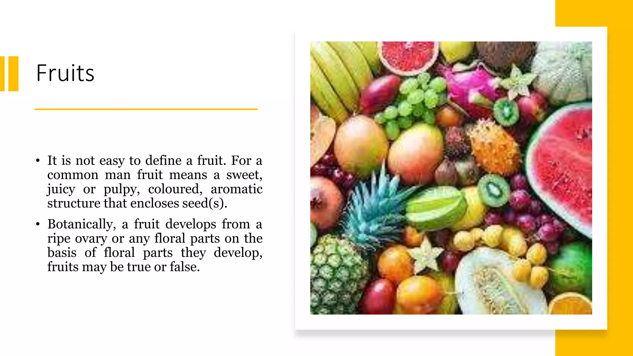 Fruits and their classification.pptx