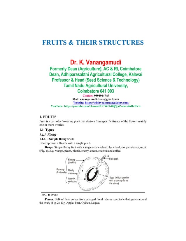 Fruits and their Structures - An overview .pdf