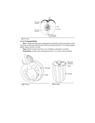 Fruits and their Structures - An overview .pdf