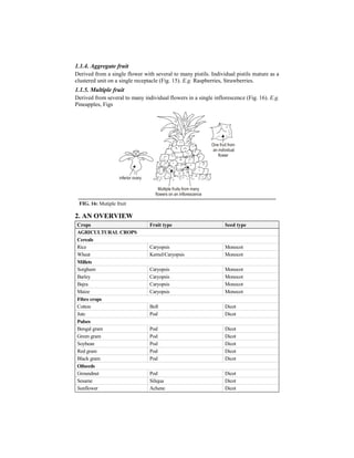 Fruits and their Structures - An overview .pdf