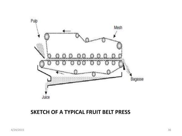Fruits and vegetable processing 1 | PPTX
