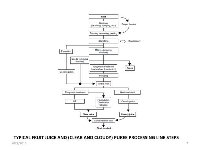 Fruits and vegetable processing 1 | PPTX