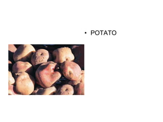 Fruits and vegetables | PPT