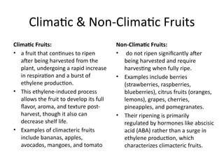 Fruits and vegetables fyugp semester 1.pptx