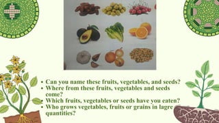 Fruits and vegetables _20260316_065910_0000.pdf