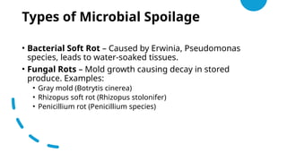 Spoilage of Fruits and Vegetables(Food Microbiology) | PPT