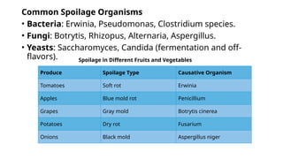 Spoilage of Fruits and Vegetables(Food Microbiology) | PPT