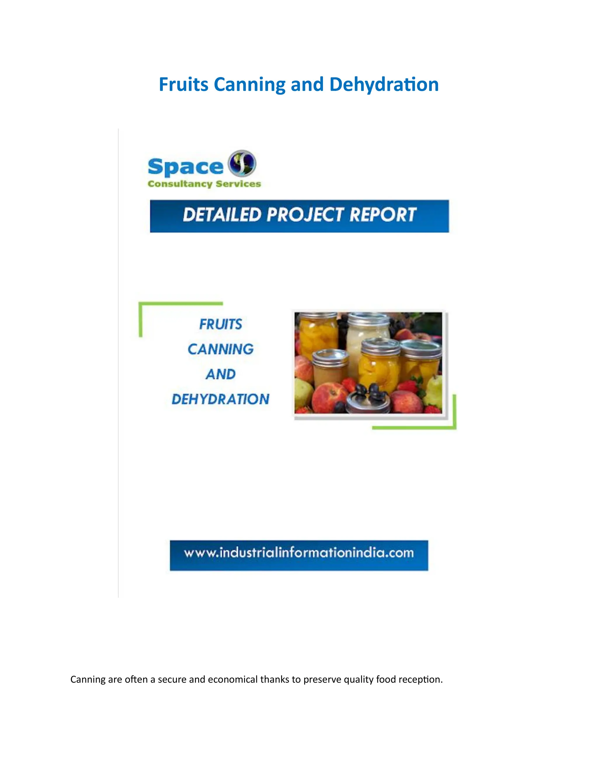 Fruits Canning and Dehydration Project Report | PDF