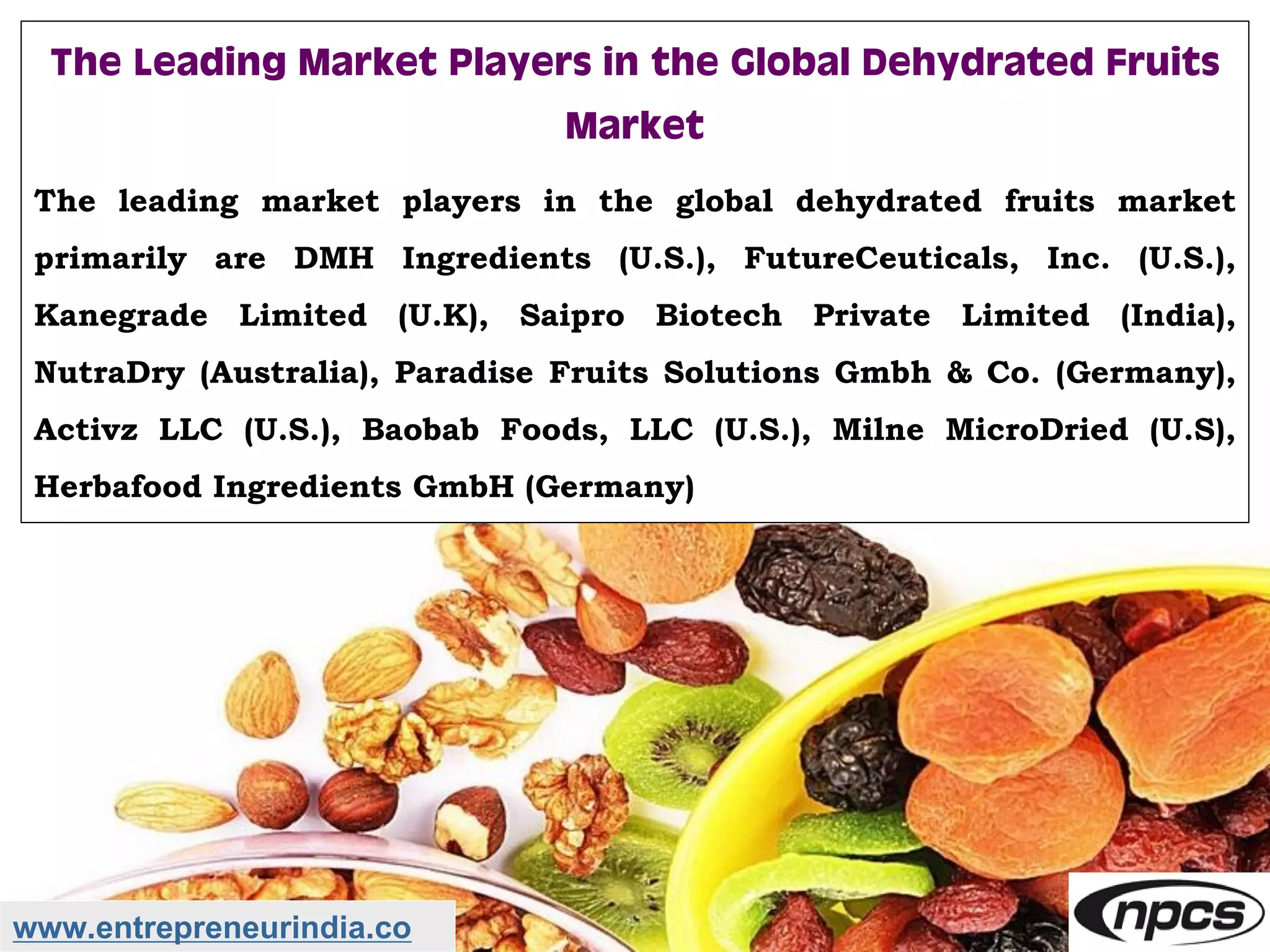 Fruits Dehydration and Processing Business-462923-.pdf