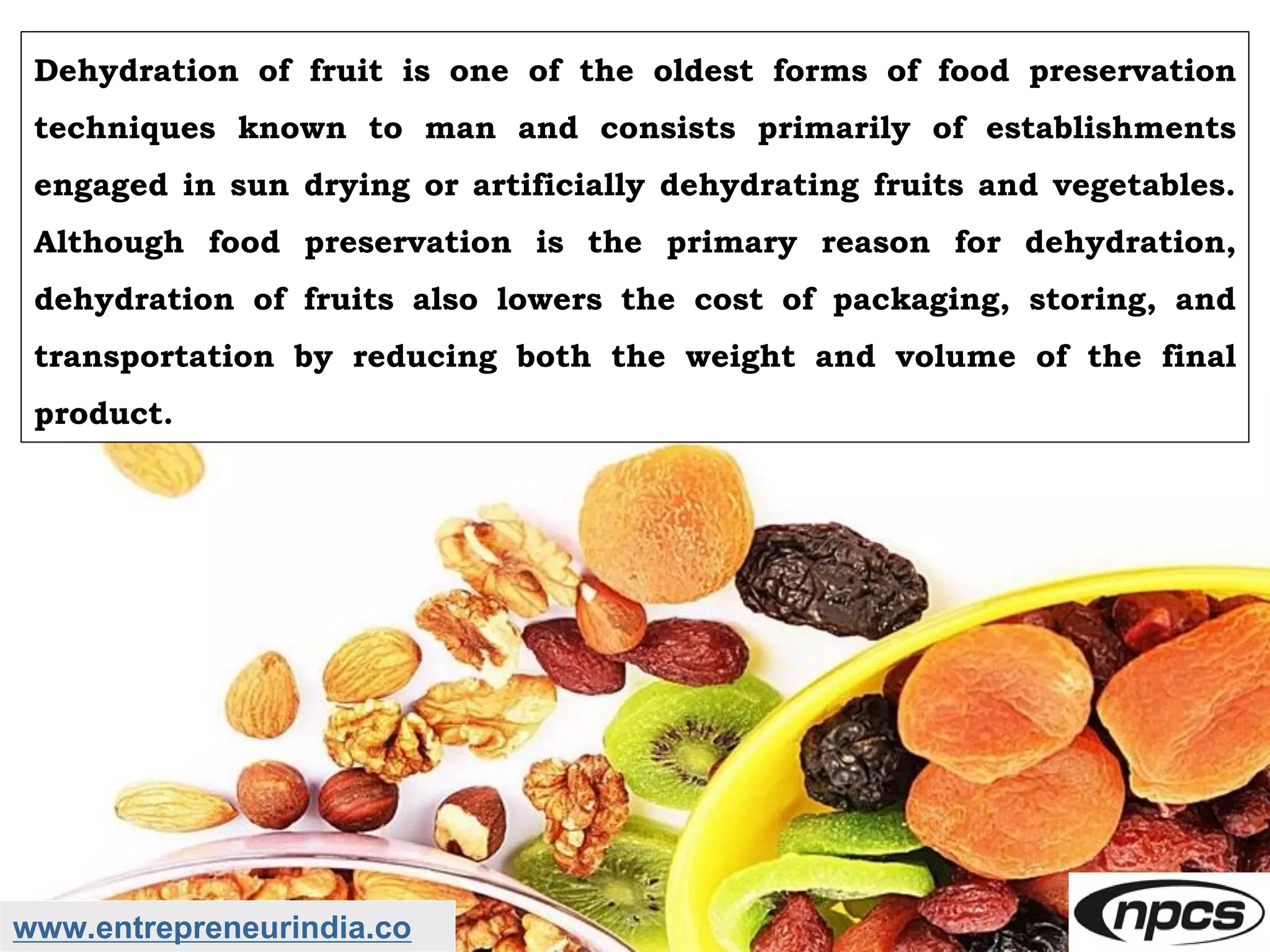 Fruits Dehydration and Processing Business-462923-.pdf