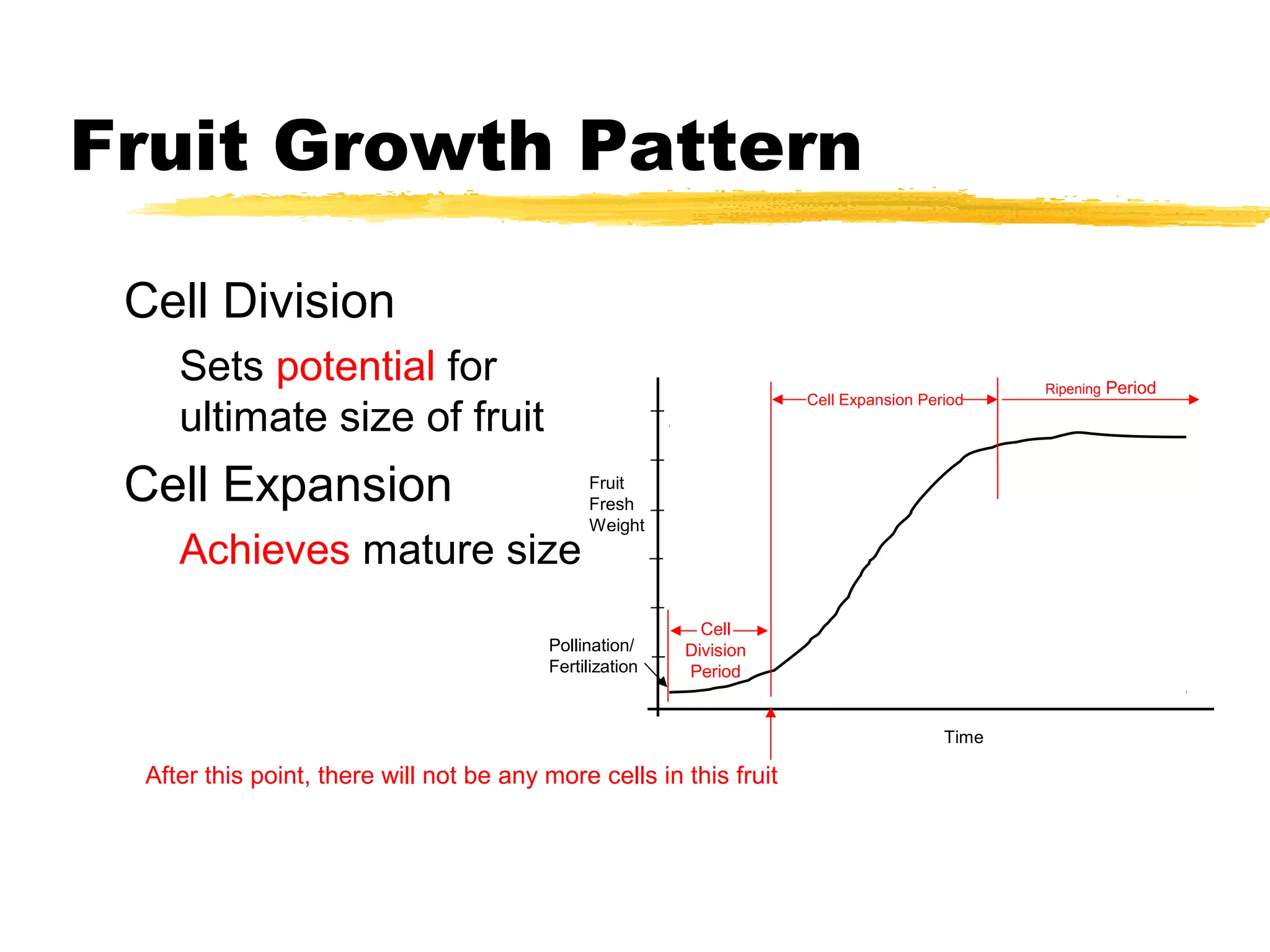 Fruits Development | PPT