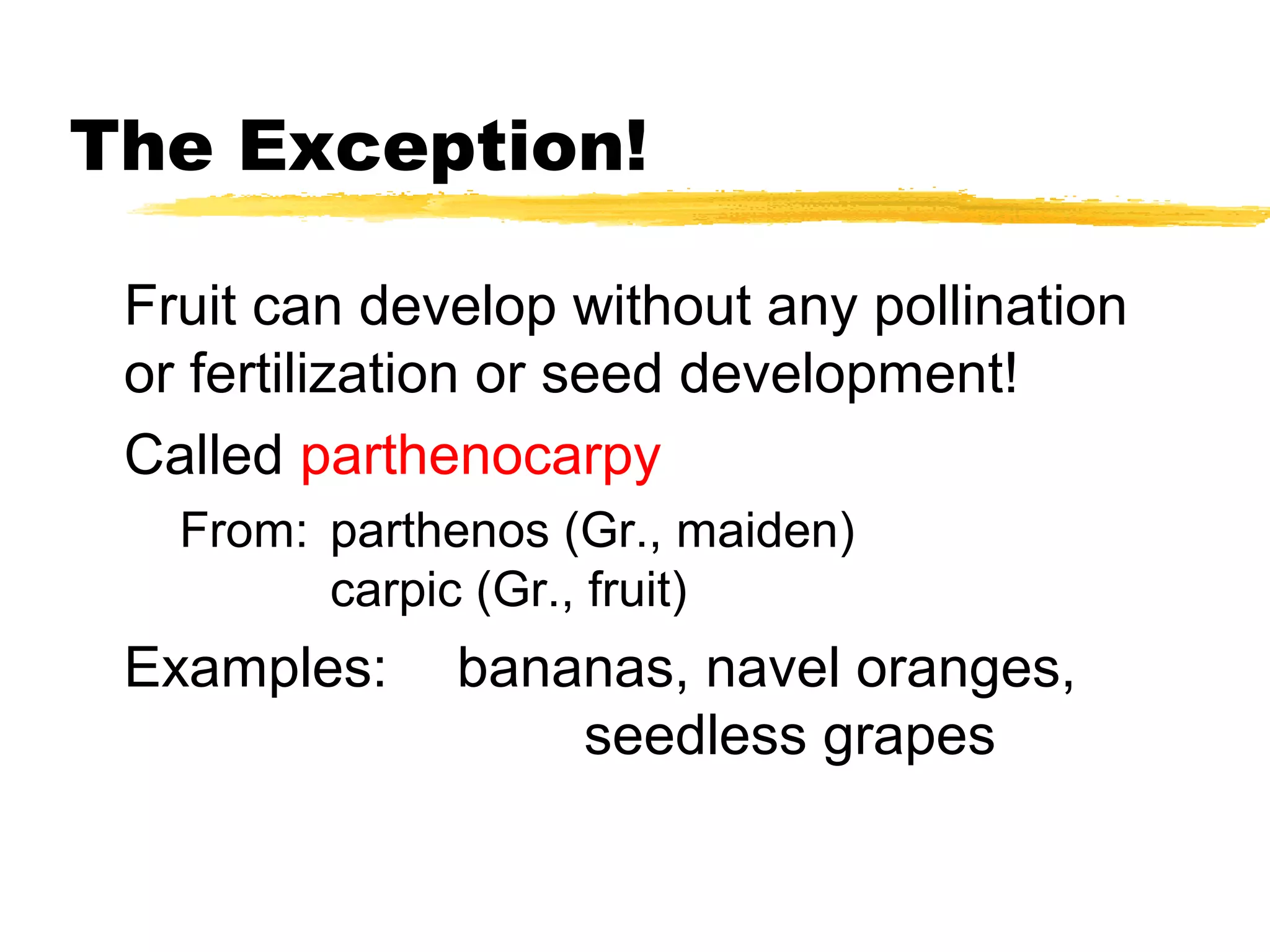 Fruits Development | PPT