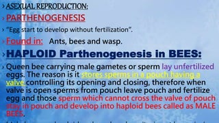 Fruit set, fruit ripening, reproduction in Animals | PPT