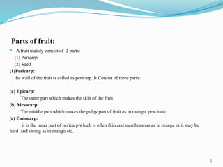 FRUITS IN FLOWERING PLANTS - Copy.pptx.... | PPT