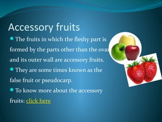Fruits information | PPT