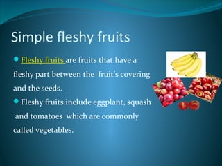 Simple Fruit Examples
