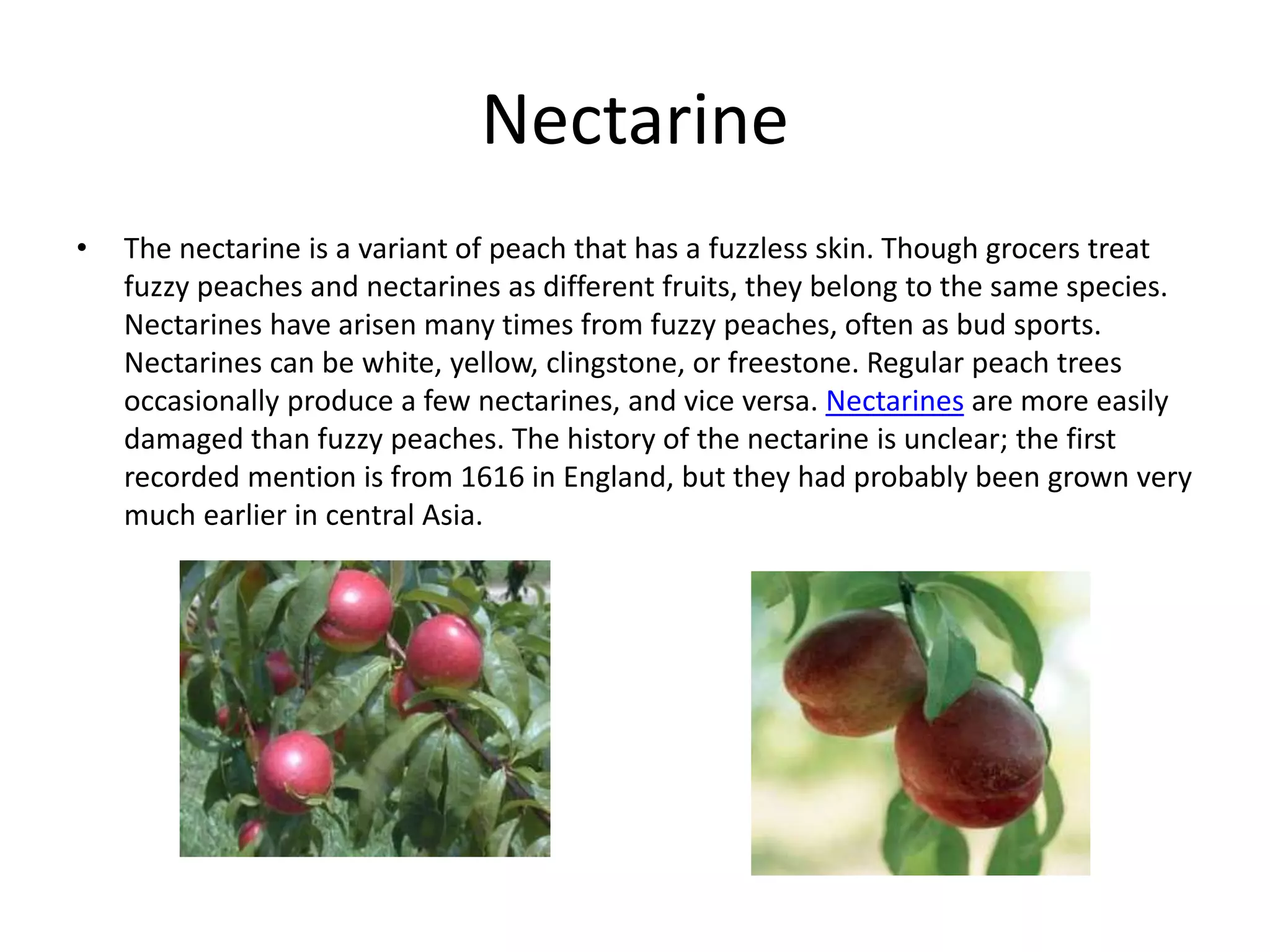 List Of Pakistani Fruit a study by Allah Dad Khan | PPTX