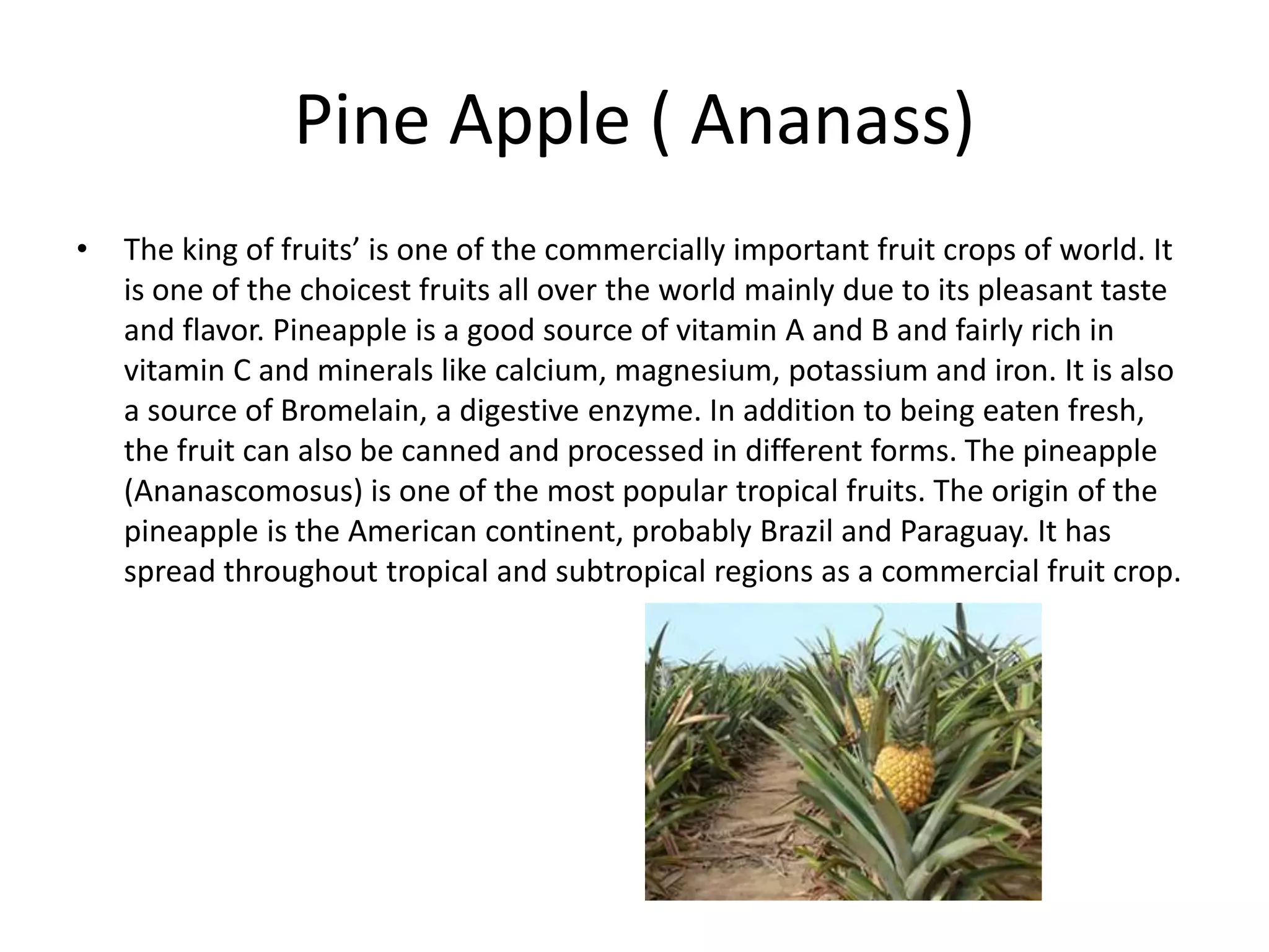 List Of Pakistani Fruit a study by Allah Dad Khan | PPTX