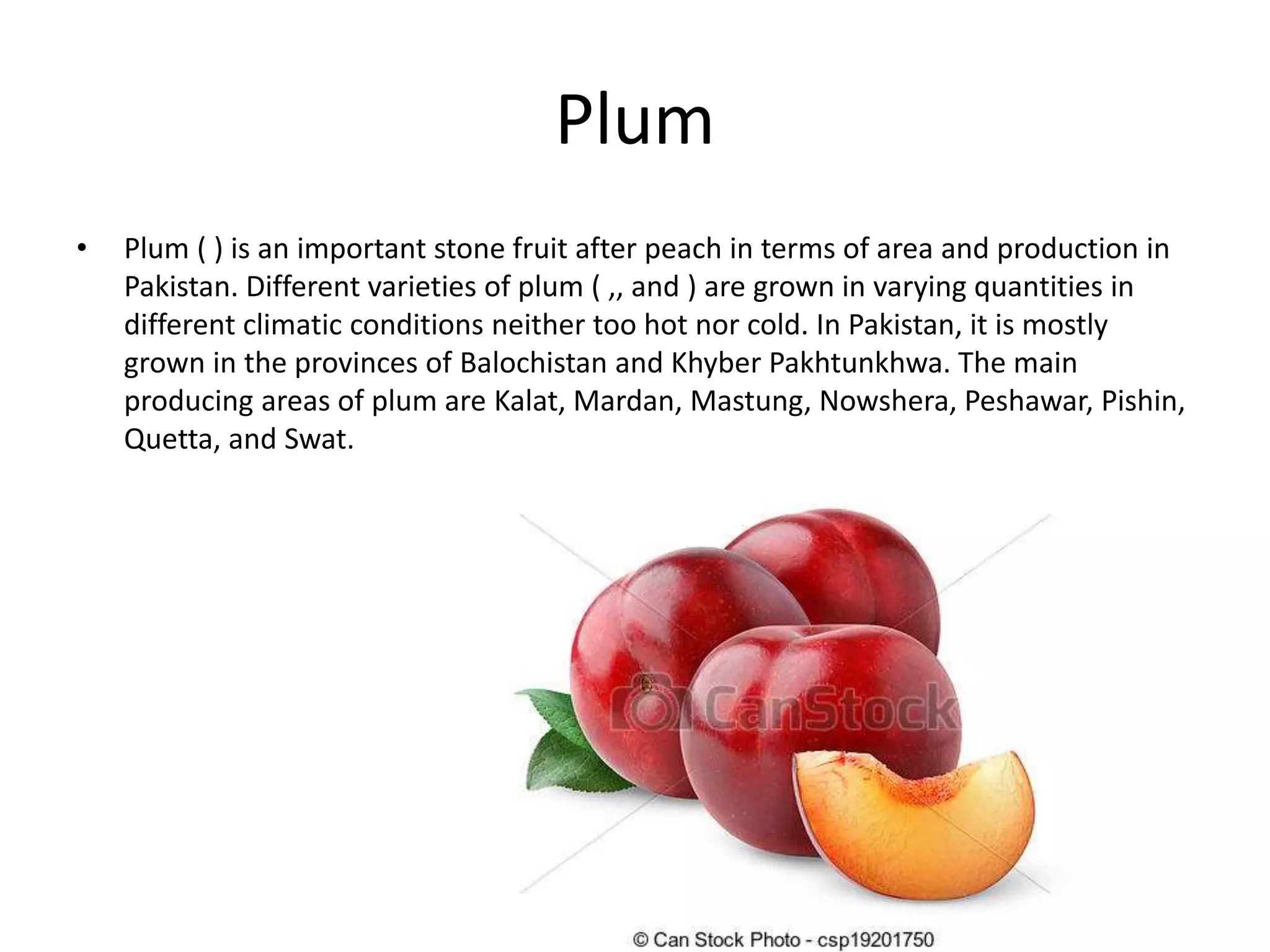 List Of Pakistani Fruit a study by Allah Dad Khan | PPTX