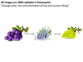 Fruits powerpoint presentation templates | PPT