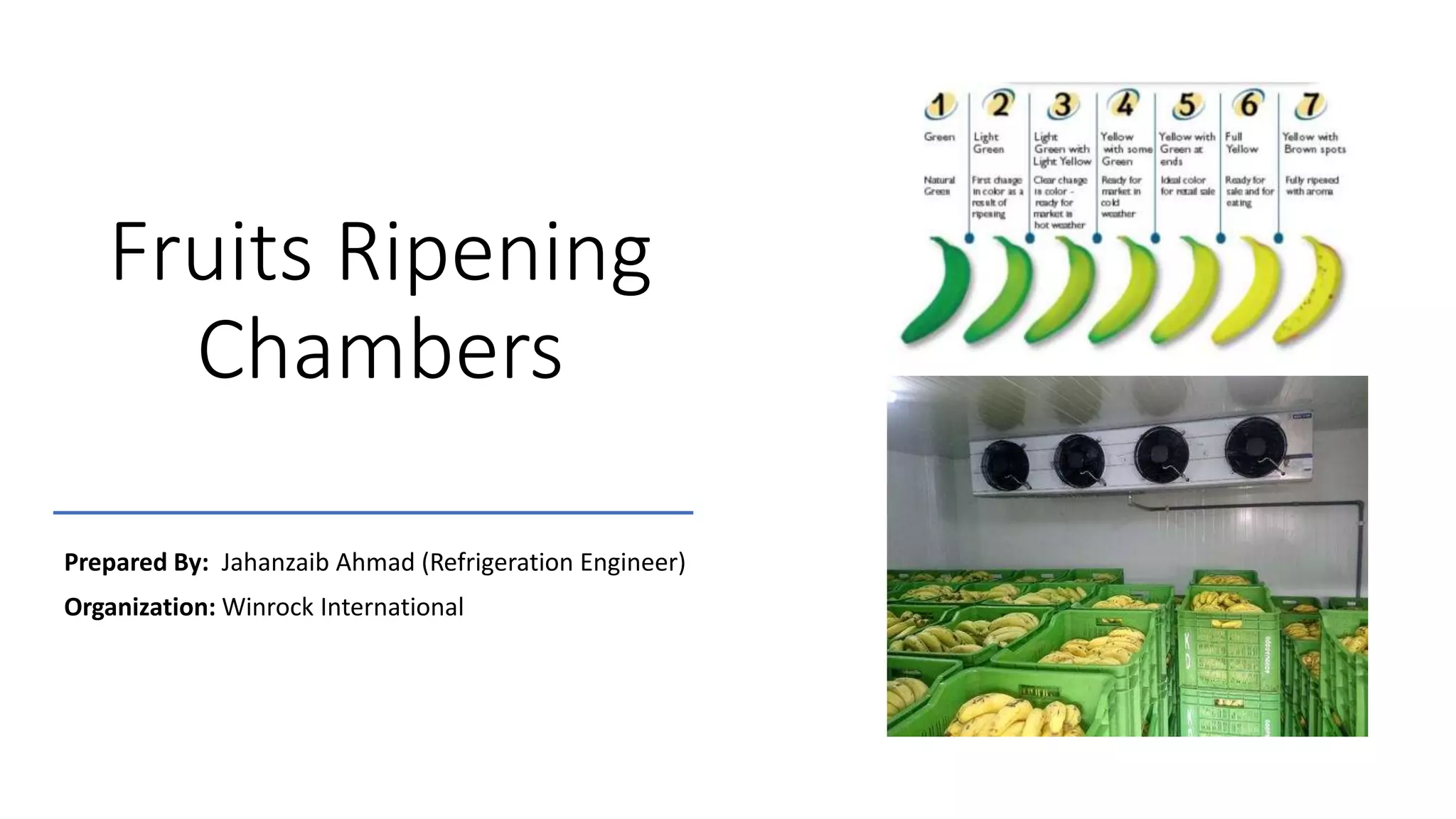 Fruits Ripening Chambers.pptx