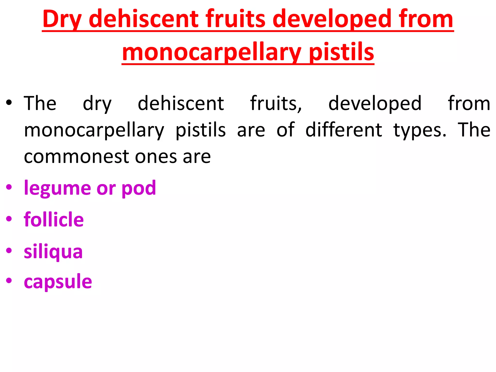 Fruits & seeds | PPTX