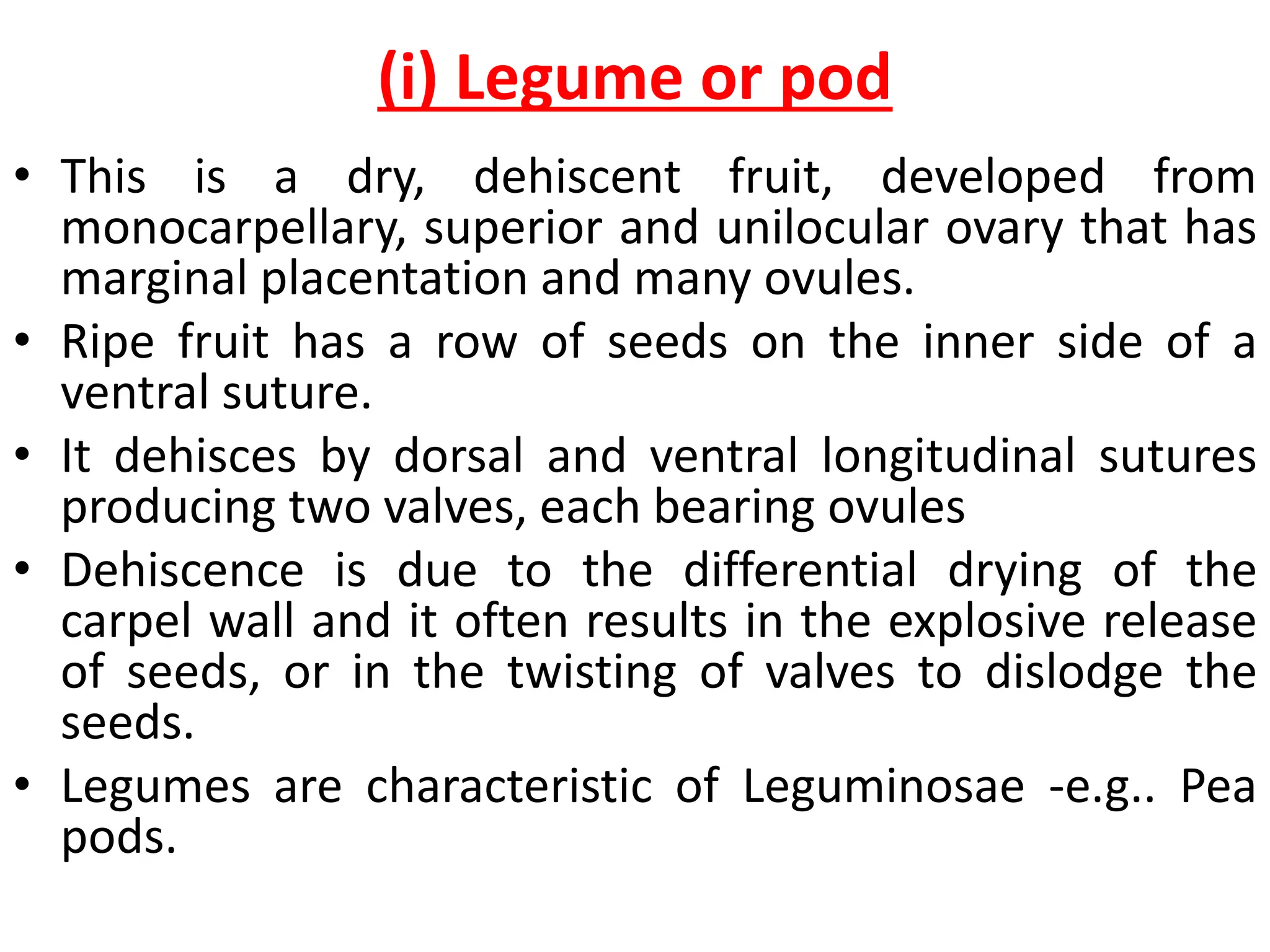 Fruits & seeds | PPTX