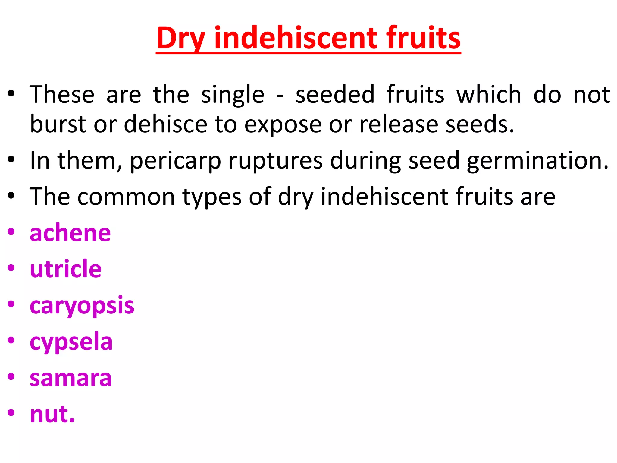 Fruits & seeds | PPTX