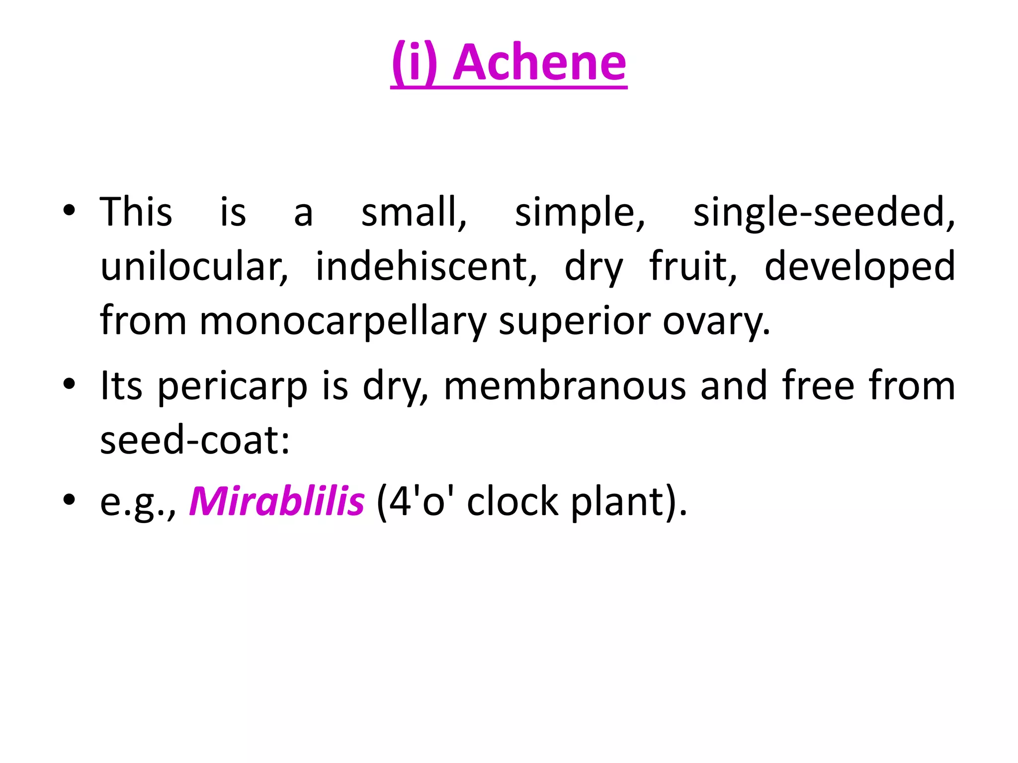 Fruits & seeds | PPTX