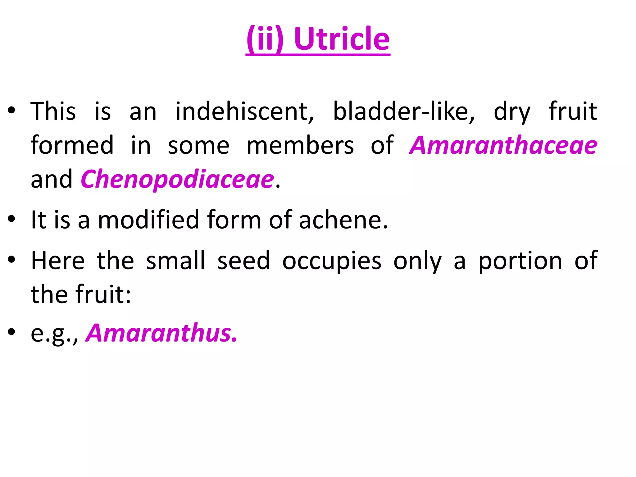 Fruits & seeds | PPTX