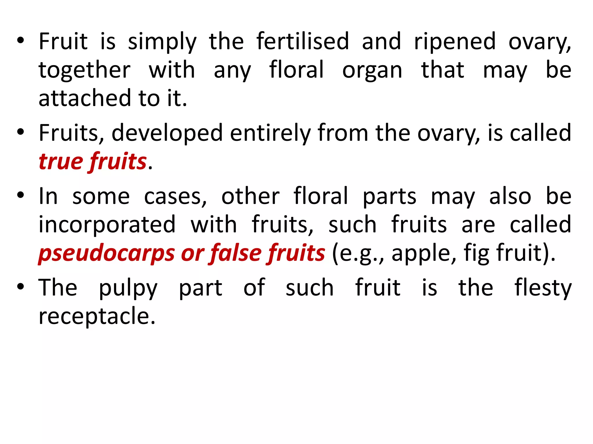 Fruits & seeds | PPTX