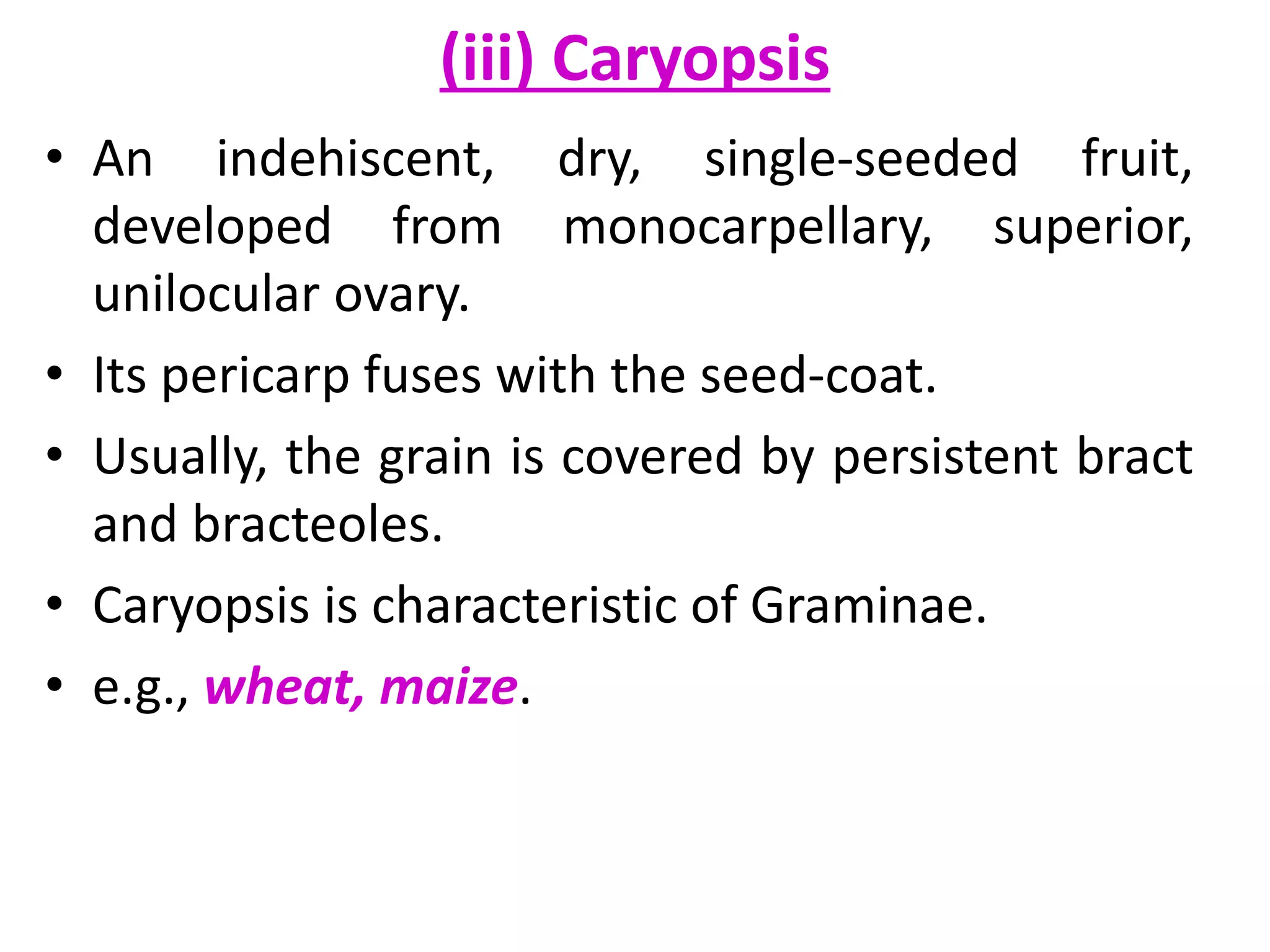 Fruits & seeds | PPTX