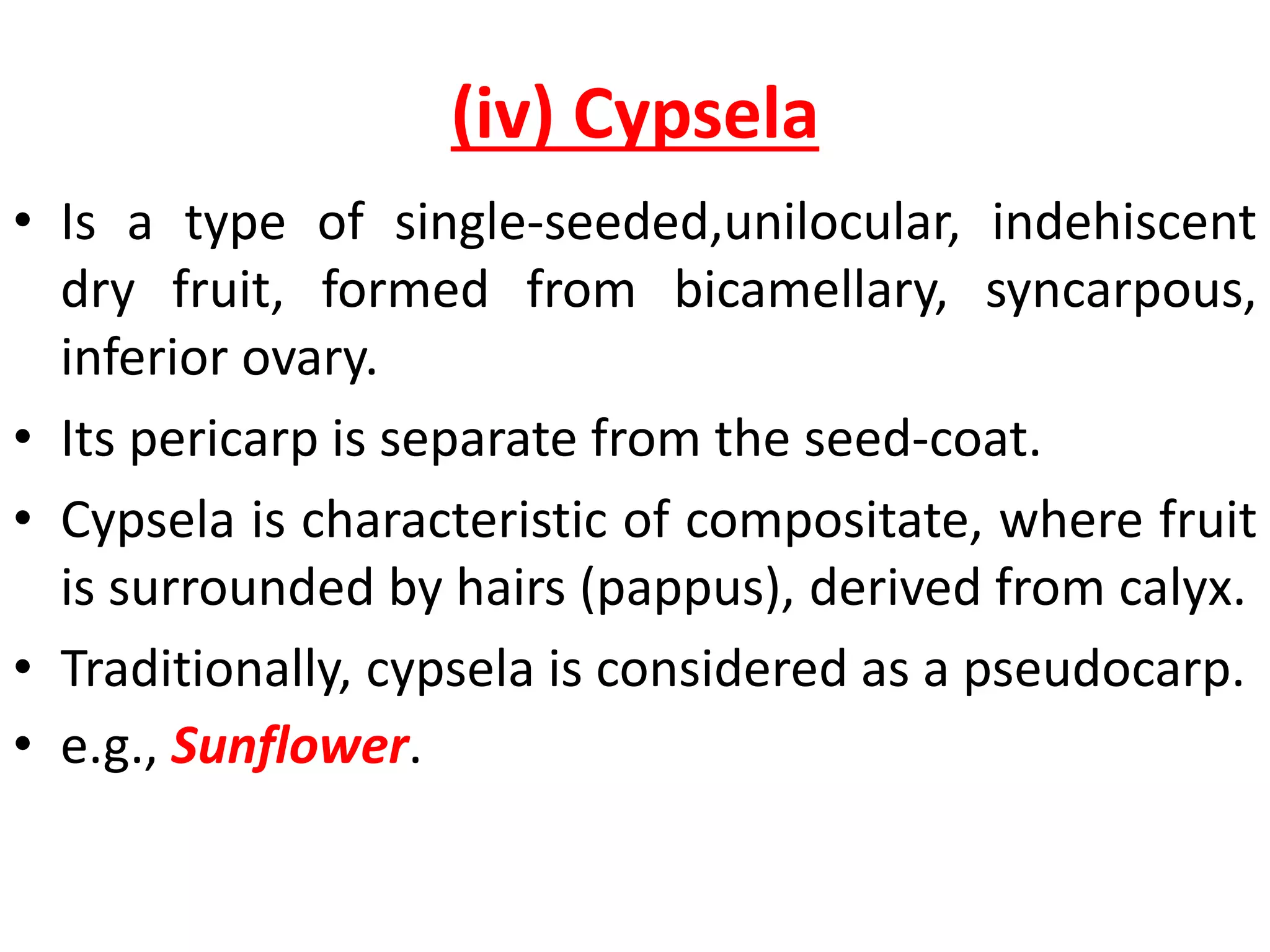 Fruits & seeds | PPTX