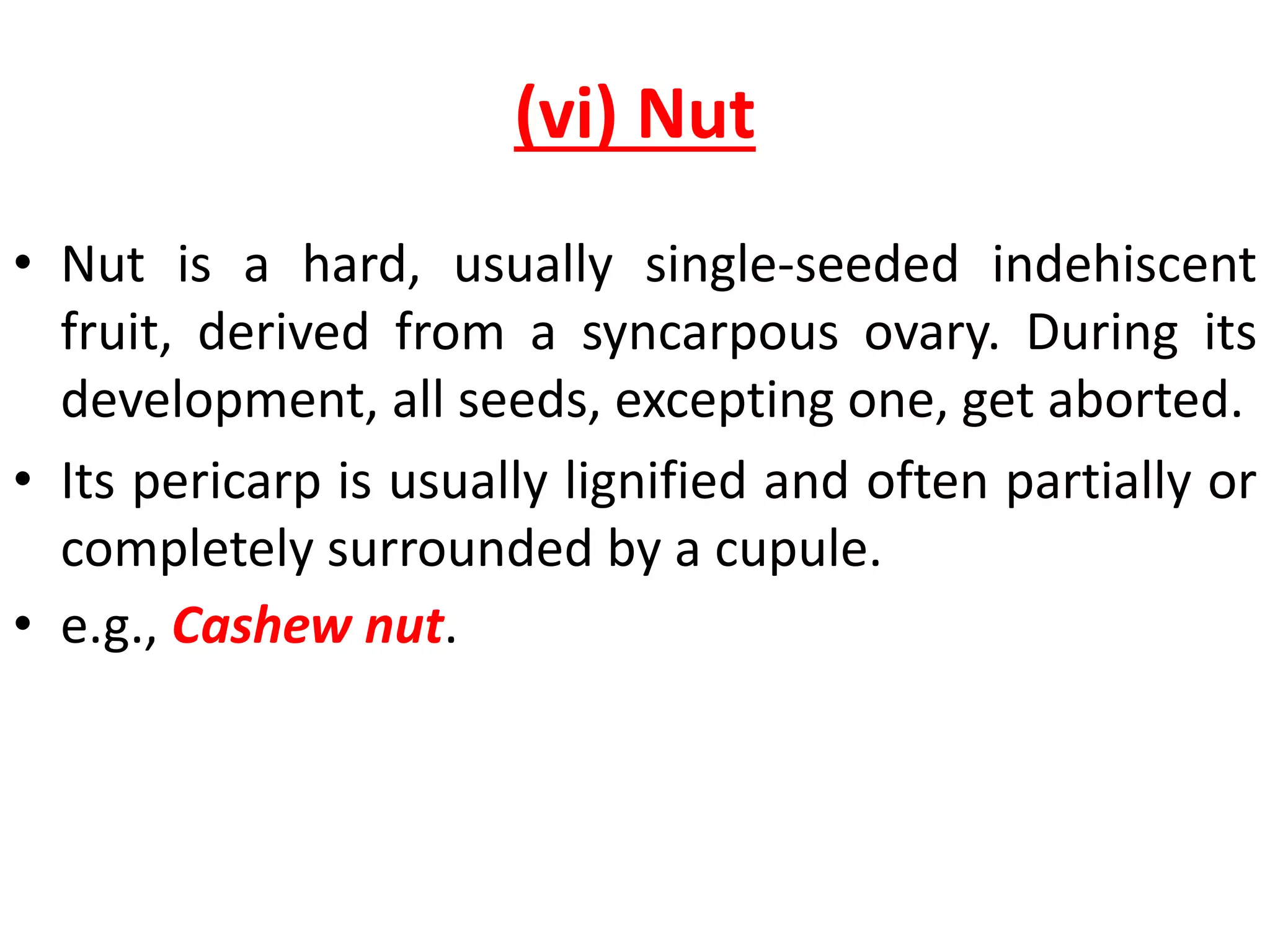 Fruits & seeds | PPTX